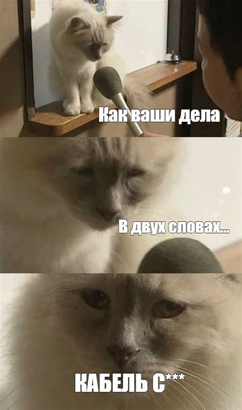 Сomics Meme Как ваши дела В двух словах КАБЕЛЬ С Comics