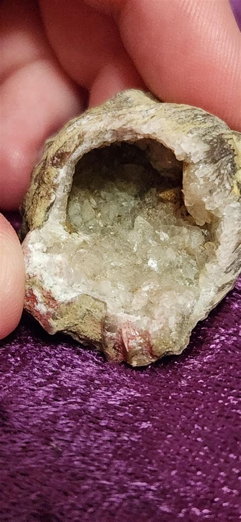 A Brachiopod Fossil Found In Nky Turned Into A Geode Rfossilporn