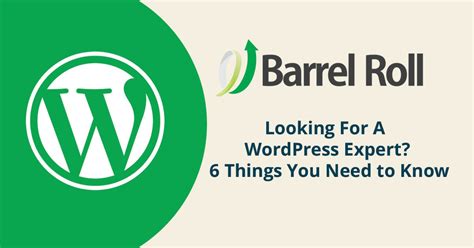 Looking For A Wordpress Expert 6 Things You Need To Know Barrel Roll
