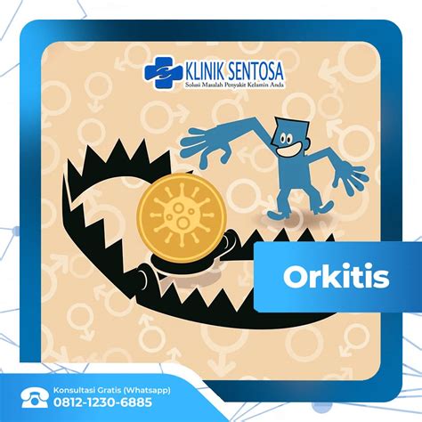 Orkitis Radang Testis Penyebab Gejala Dan Pengobatan Klinik Utama Sentosa