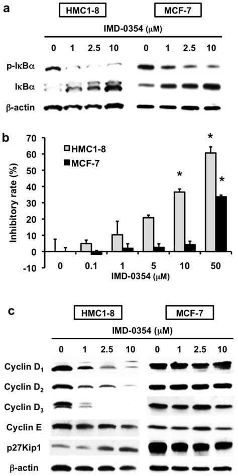 Nuclear Factor ĸb Plays A Critical Role In Both Intrinsic And Acquired