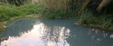 חפש את המטמון אלרואי