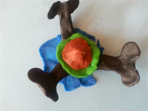 მზე და პლანეტები ფოტოსურათები