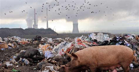 Македонија во минус Албанија целосно зелена БиХ произведува струја и за извоз