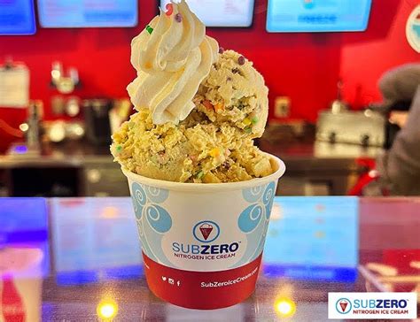 Sub Zero Franchise Overview 2025 Startup Costs And Fees