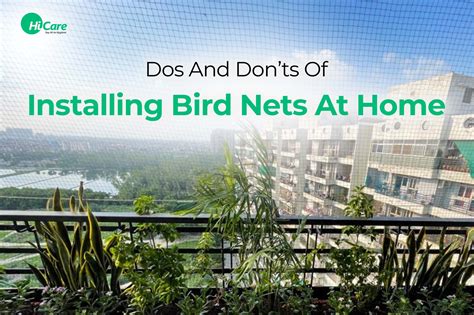 Dos And Donts Of Bird Netting Installation At Home