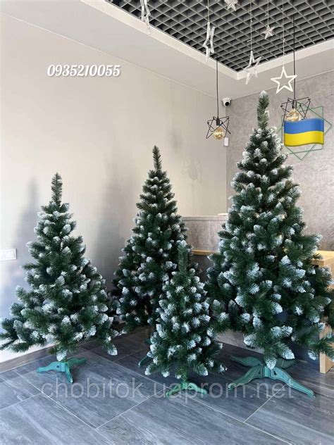 Елка Европейская - купить по лучшей цене в Броварах от компании ...