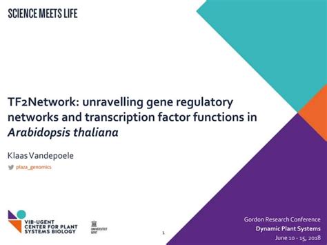 Tf2network Unravelling Gene Regulatory Networks And Transcription