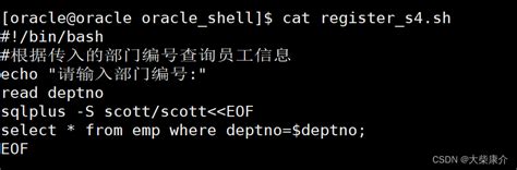 Linux（六）脚本应用linux命令窗口 登录 使用sqlplus 执行脚本 Csdn博客
