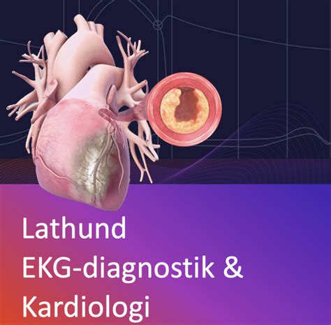 Hypertoni Högt Blodtryck Definition Diagnos Utredning Behandling