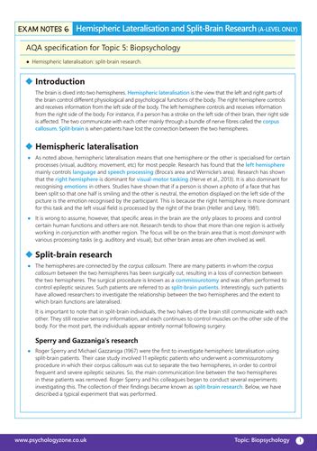 Hemispheric Lateralisation Split Brain Research Teaching Resources