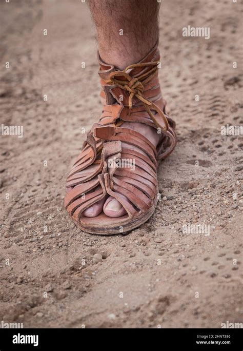Roman Foot Diagram At Dean Rice Blog