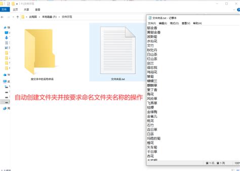 高效批处理方法：自动创建100个文件夹并指定名称重命名的操作图文详解 知乎