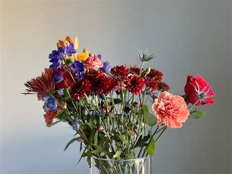 꽃병에 담긴 혼합된 다채로운 꽃의 생동감 넘치는 꽃다발 · 무료 스톡 사진