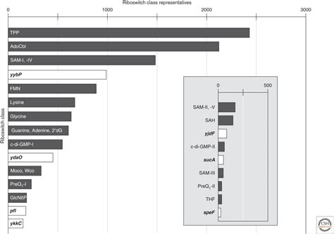 Riboswitches And The Rna World