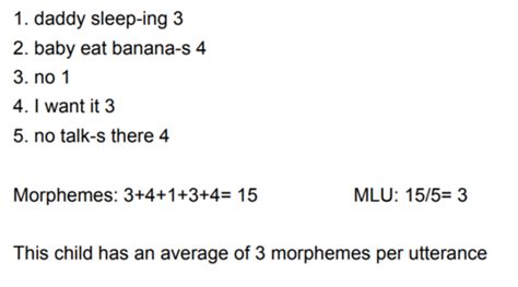 CSD Exam Flashcards Quizlet