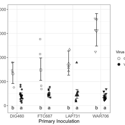 Lesion Area By Primary Inoculation And Challenge Inoculation With Virus Download Scientific