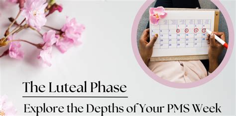 The Luteal Phase Explore The Depths Of Your Pms Week