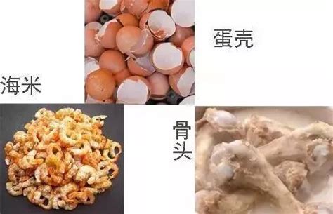 母猪产后易缺钙，教你用省钱有效的土方法解决！