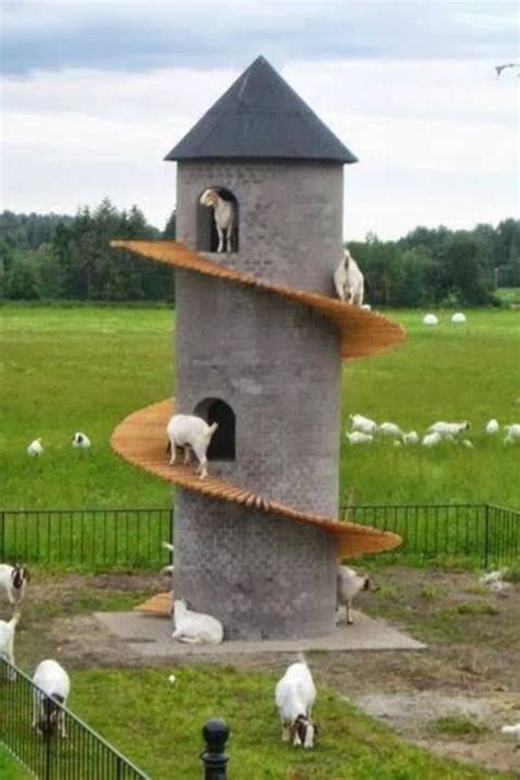 Perfect Goat Castle Goat Shed Goat House Goat Playground