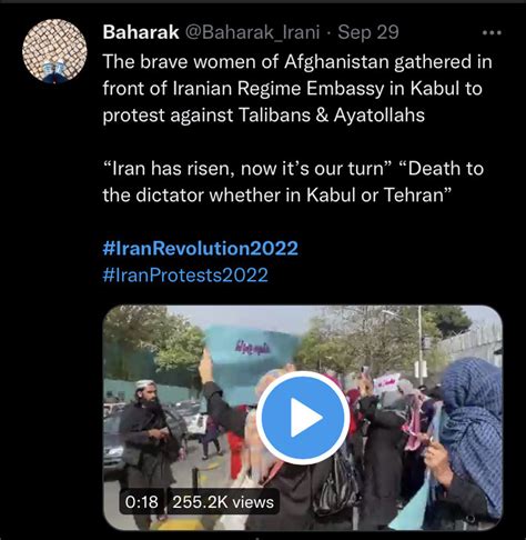 AntiPorn Activist Network