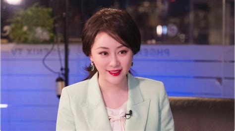 红色背景的燕子 堕入冷宫的凤凰图 傅晓田 秦刚 失踪 外交部长 主持人 凤凰卫视 官吏 看中国网