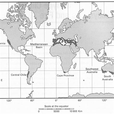 Resprouting Lignotuber Of Arbutus Andrachne Ericaceae From Southern