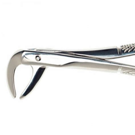 Forcep 75 Lower Premolar