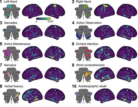 Figures And Data In A Task General Connectivity Model Reveals Variation