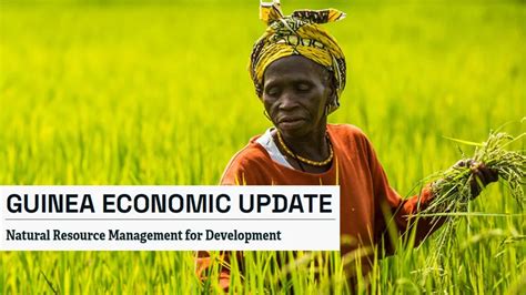 Guinea Economic Update 2024