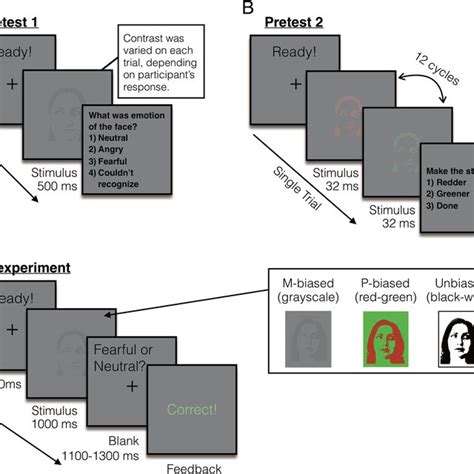Sample Trials Of The Pretests And The Main Experiment A A Sample