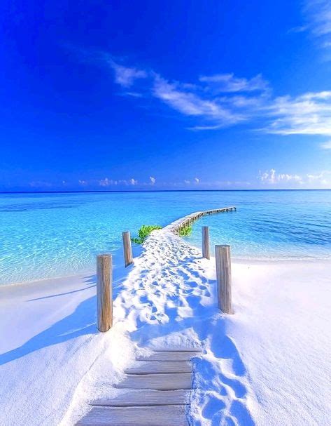 バハマの海が魅せる、ターコイズブルーの絶景