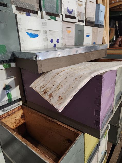 4 Frame Wooden Nuc Boxes Blossom Hill Nursery