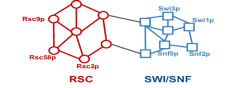 An Example Of Ppi Network Clustering Download Scientific Diagram