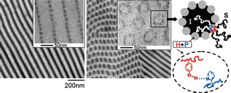 Creation Of Hierarchical Nanophase Separated Structures Via Supramacromolecular Self Assembly