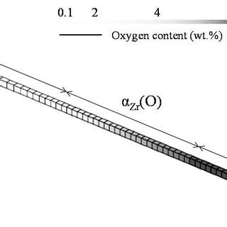 Example Of Mesh And Oxygen Concentration Field Used For Finite Element