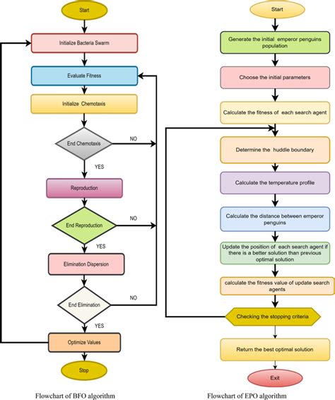 Flowchart Of Bfo And Epo Algorithm Download Scientific Diagram