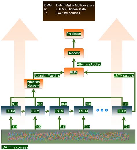 Explainable Self Supervised Dynamic Neuroimaging Using Time Reversal