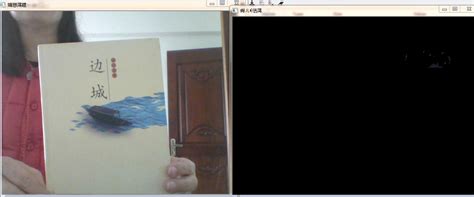 Opencv Dynamic Capture Programmer Sought