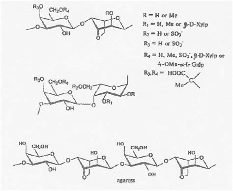 Structural Features Of The Agar Group Of Polysaccharides 1 Download Scientific Diagram