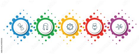 Editable Thin Line Icons With Infographic Template Infographic For Human Body Parts Concept