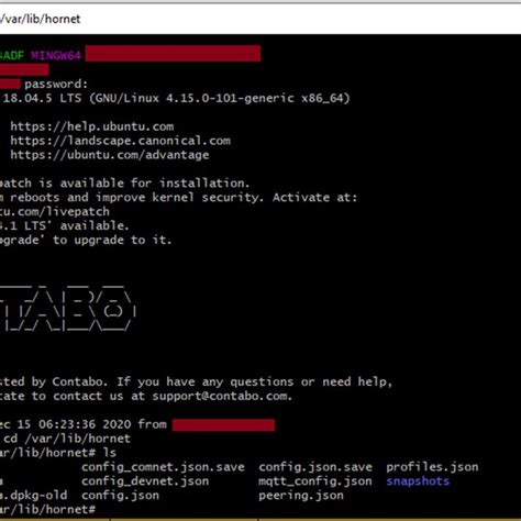 Accessing The Hornet Node Using Ssh Via Terminal Download Scientific
