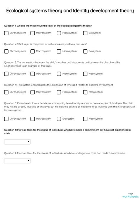 Ecological Systems Theory And Identity Development Theory Interactive