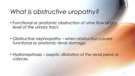 Obstructive Uropathy Ppt