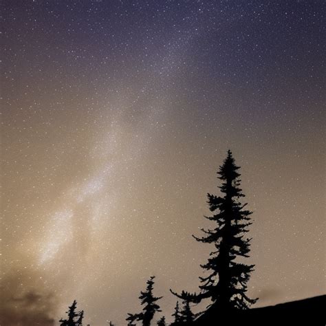 Apache Struts An Overview And Best Practices For Web Application Development Friendlyusers