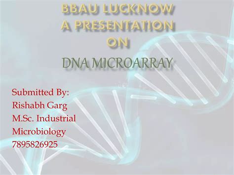 dna microarray pptx genetics science