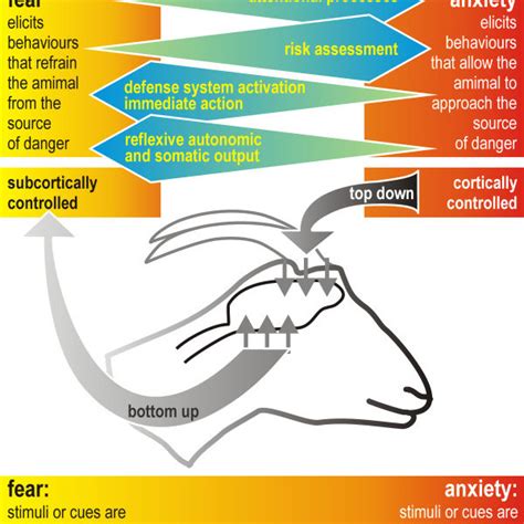 Daily Basal Salivary Cortisol Level And Salivary Cortisol Response To