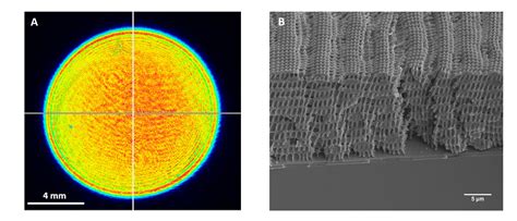 Large Area Patterning Of Nanoarchitected Metamaterials Via Metasurface