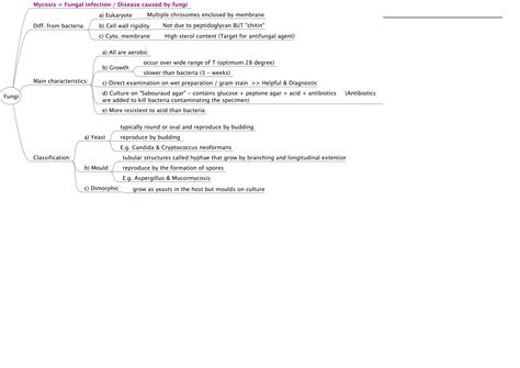 Summary Fungi Mind Map Micrbiology Microbio Stuvia Us
