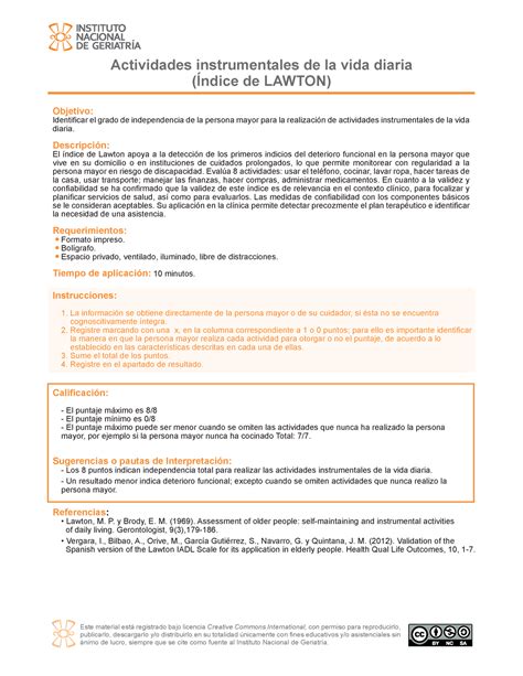 19 Actividades Instrumentales De La Vida Diaria DescripciÛn El